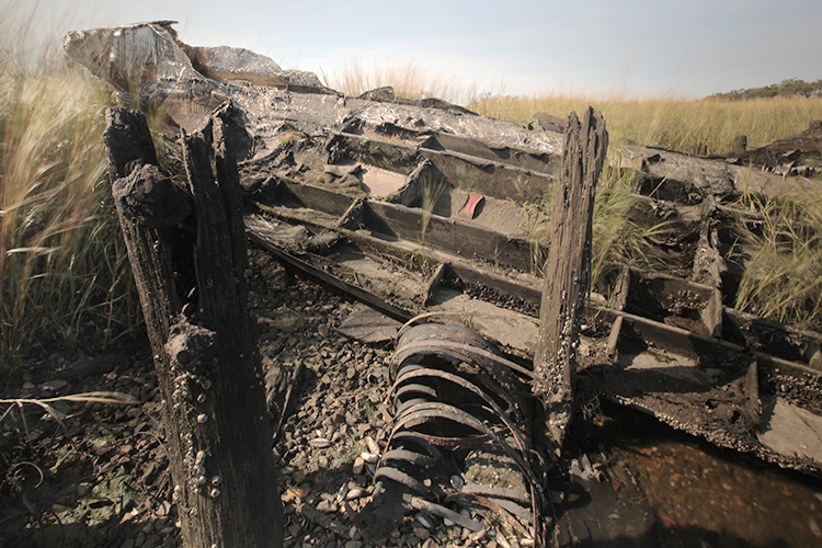 Talking Trash in Dubos Point Wildlife Sanctuary | AbandonedNYC