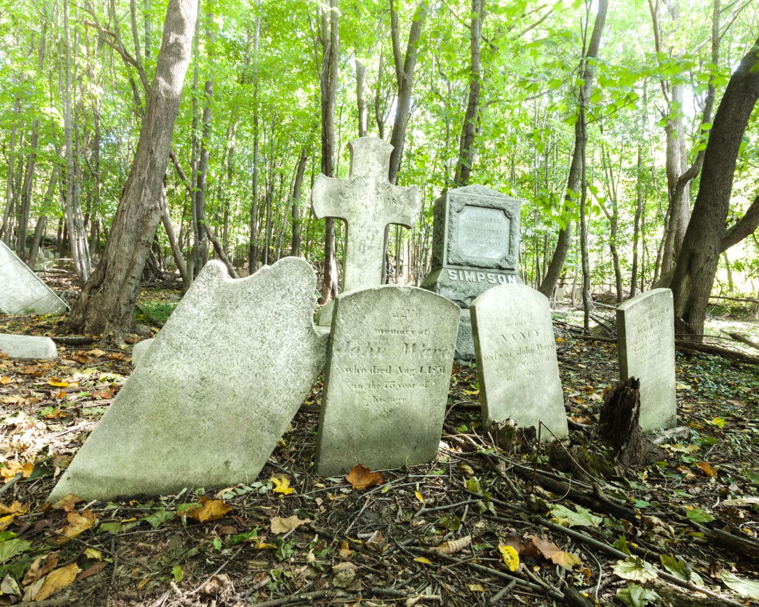 Tomb Raiding in the Old Dutch Cemetery | AbandonedNYC